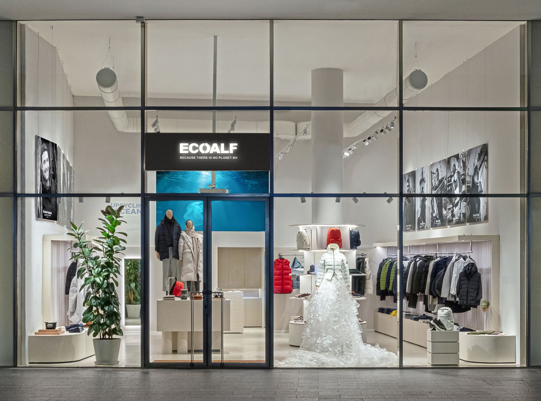 Marcas sostenibles y el éxito de Ecoalf en la moda ética y ecológica